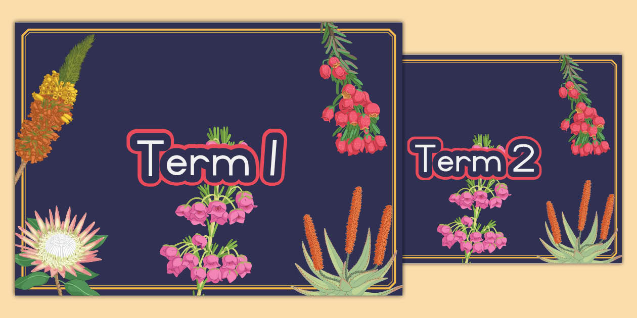 Fynbos-Themed Term Folder Dividers (teacher made) - Twinkl