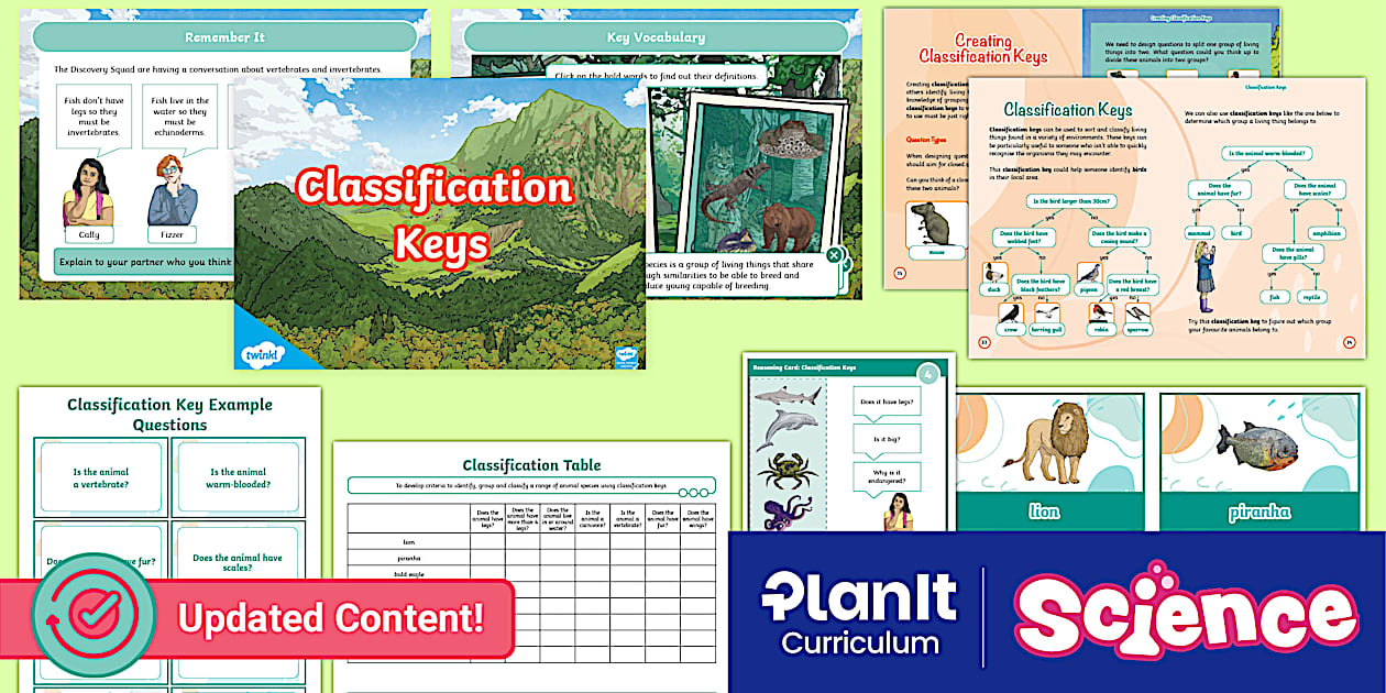 Y4 Living Things & Their Habitats Classification Keys Lesson