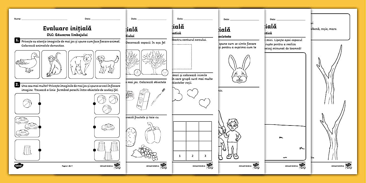 Evaluare inițială grupa mijlocie Fișe de activitate (Set 2)