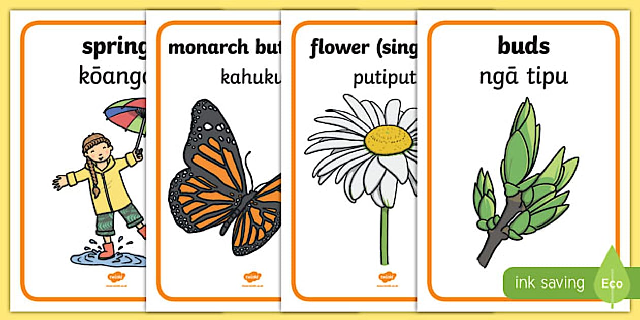New Zealand Spring A4 Display Poster (teacher made) - Twinkl