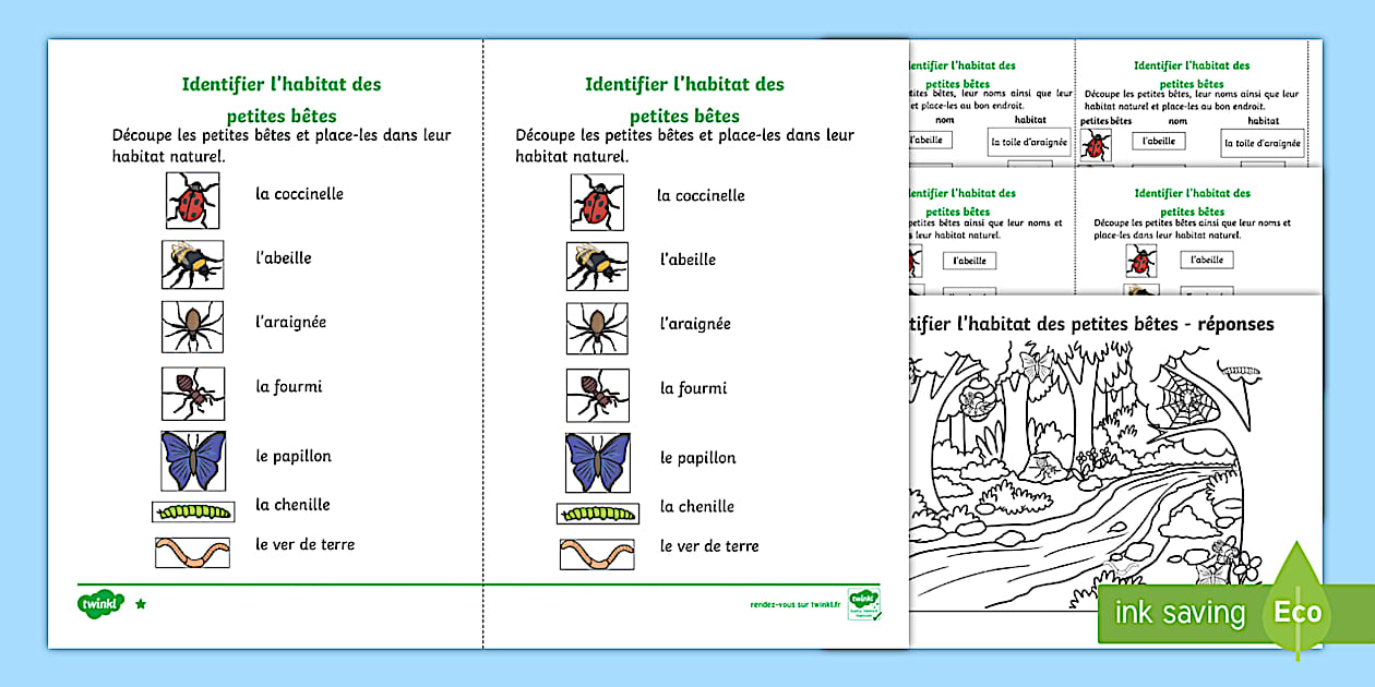 Feuille d'activités : les petites bêtes et leur habitat
