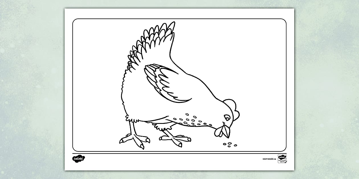 Chicken Colouring Sheet (teacher made) - Twinkl