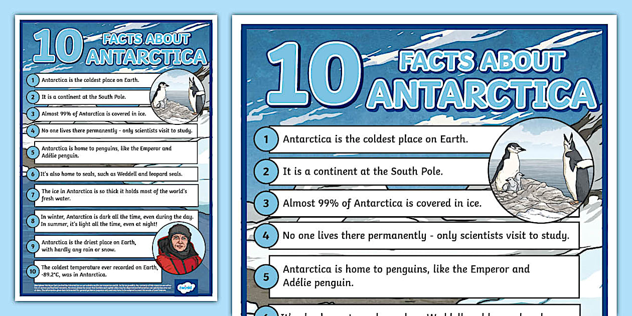 10 Facts About Antarctica Display Poster (teacher made)