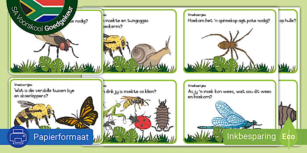 Insekte en Tuingoggas: Oop en Geslote Vraekaartjies - Twinkl
