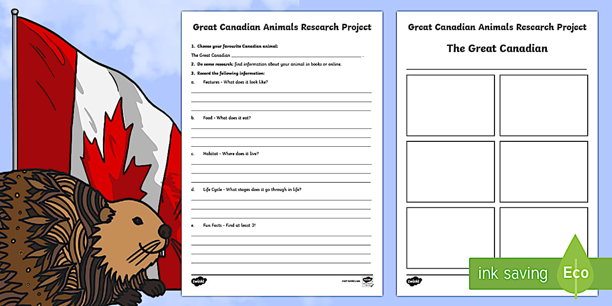 Great Canadian Animals Research Project Activity - Twinkl