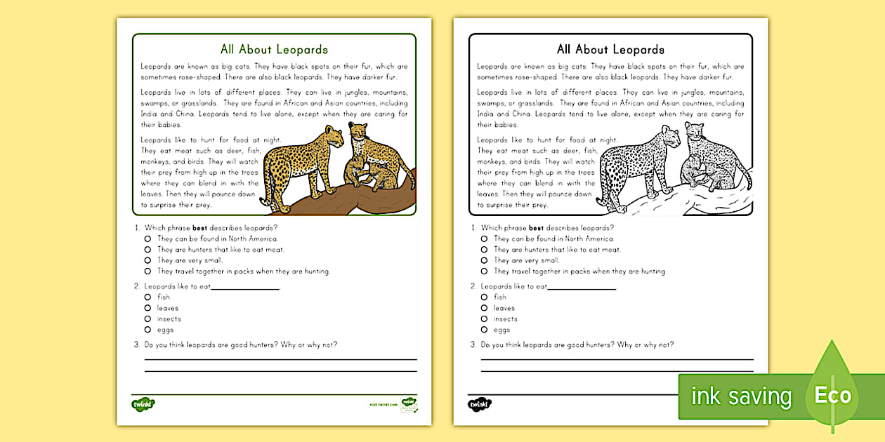 Leopards Differentiated Reading Comprehension Worksheet