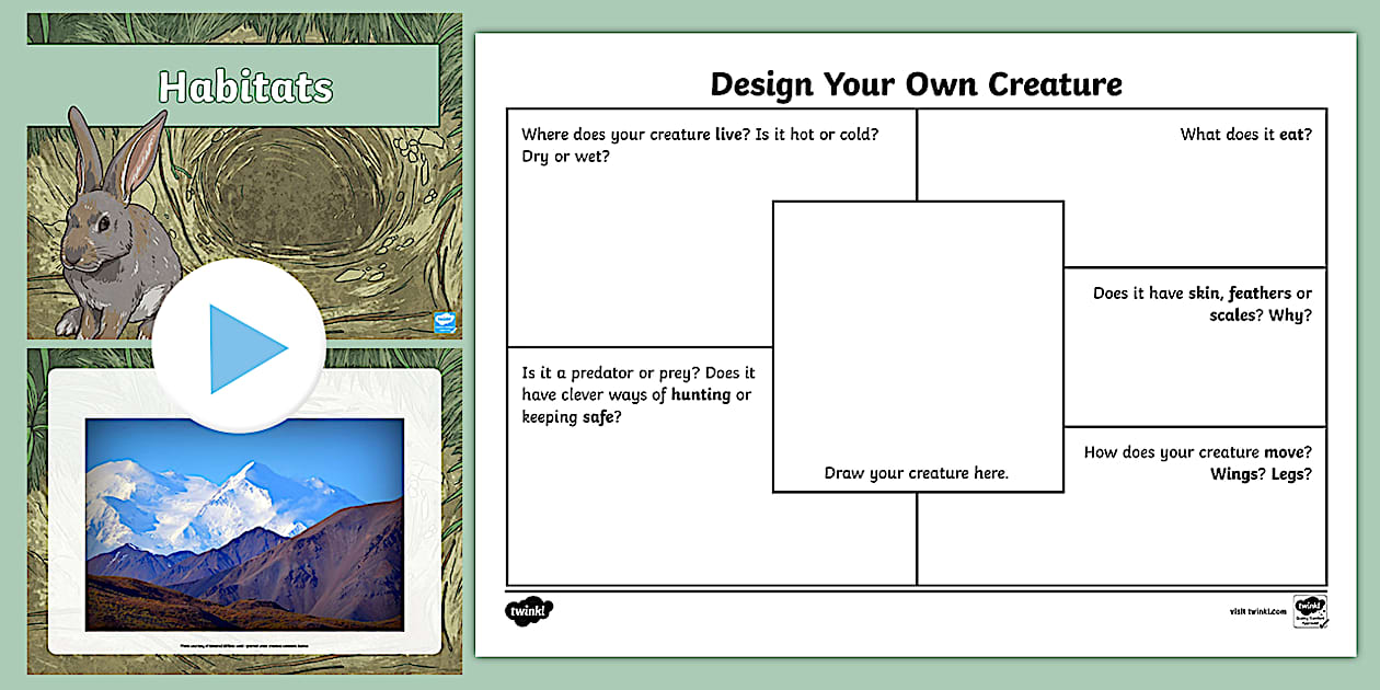 Create Your Own Animal | Worksheet and PowerPoint - Twinkl