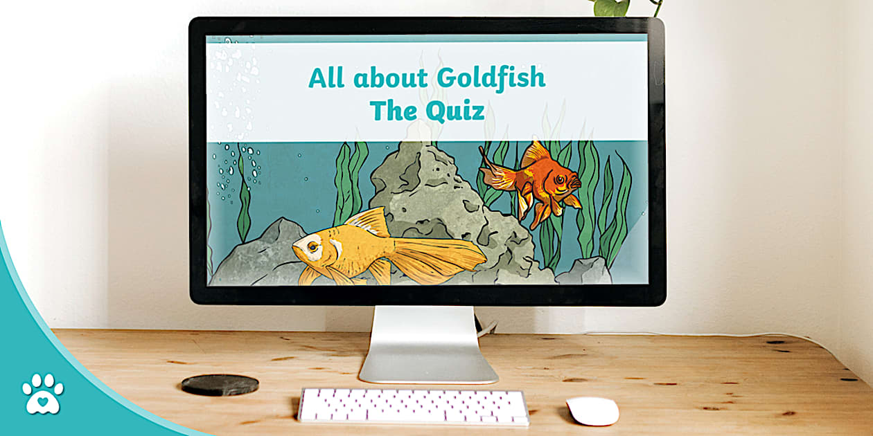 All about Goldfish - PowerPoint Quiz - Fish - Twinkl Pets