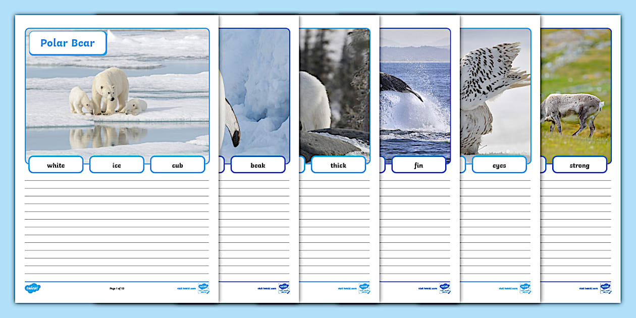 Cold Climate Animals Simple Sentence Photo Worksheets