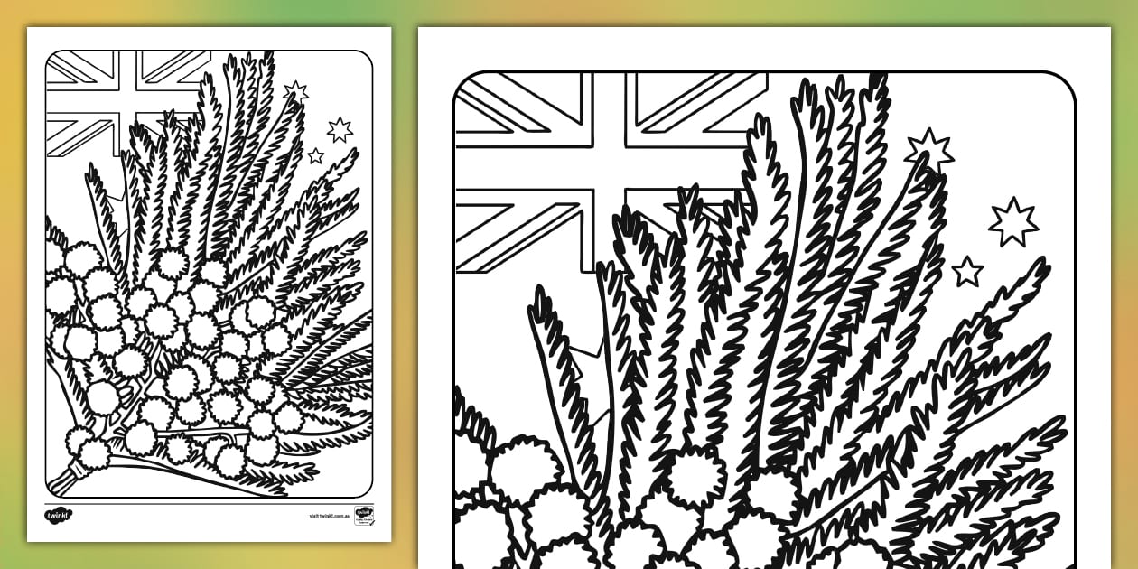 Golden Wattle Colouring Sheet (teacher made) - Twinkl