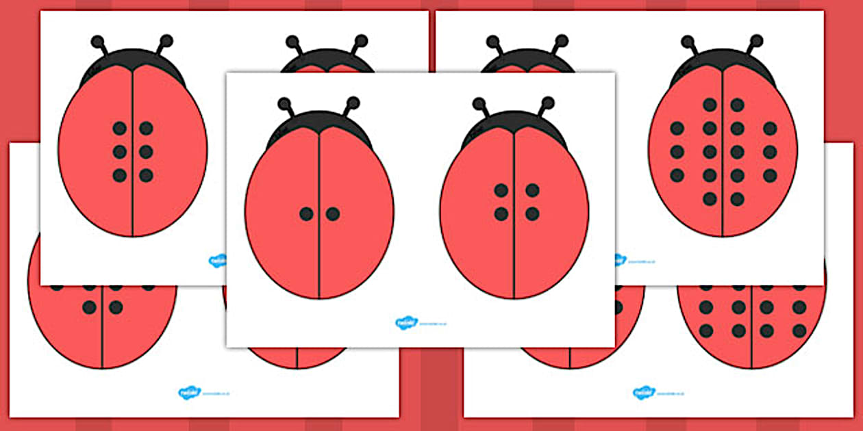 Doubling Ladybug Spots Visual Aid | Math | Twinkl USA