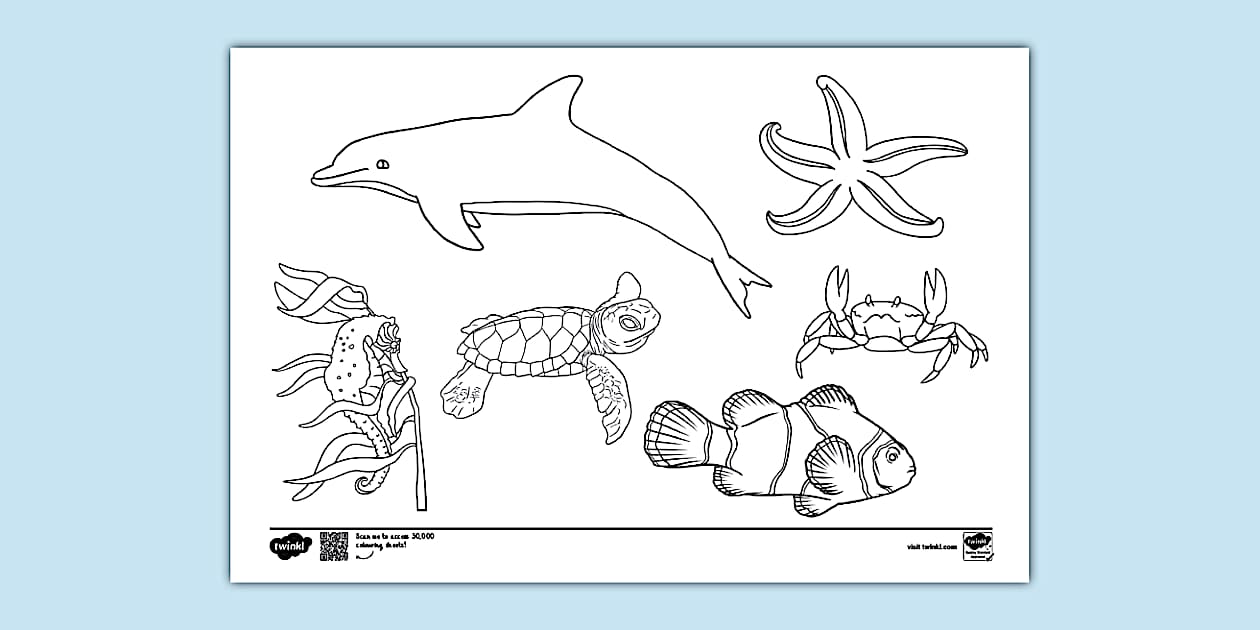 Baby Sea Animals Colouring Page - EYLF - Parents - Twinkl