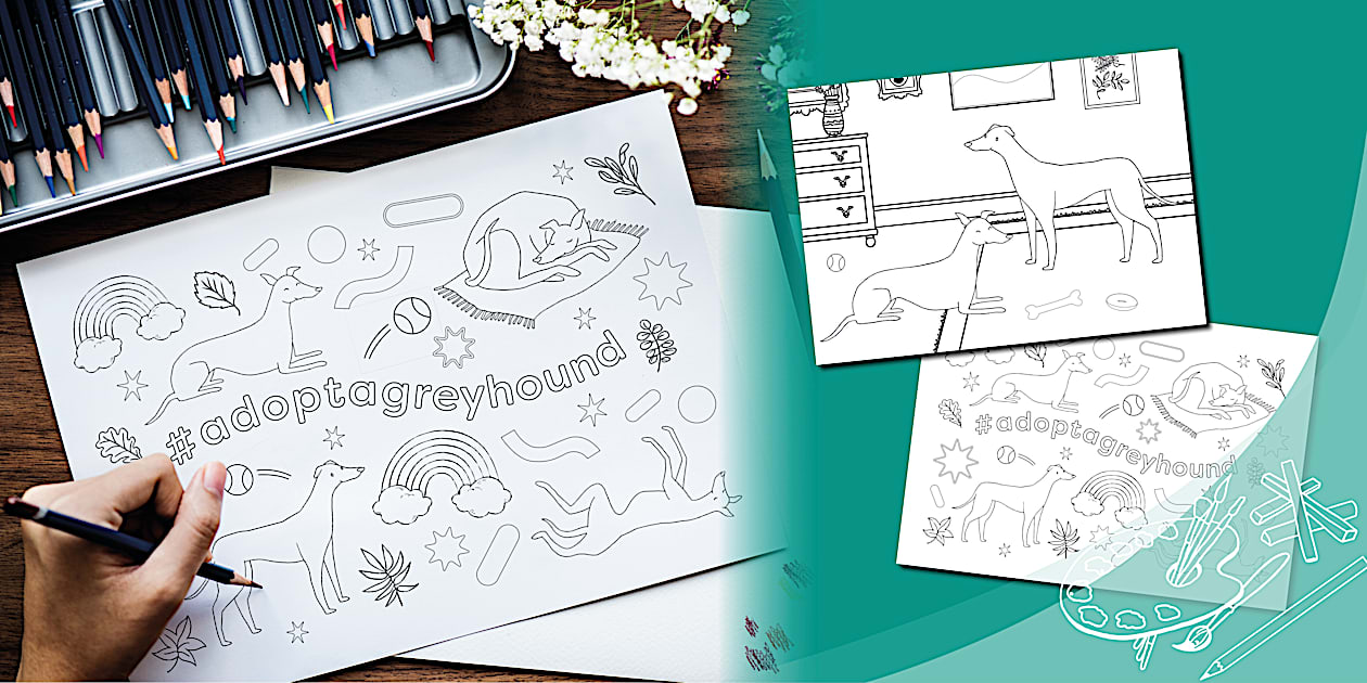 Adopt a Greyhound Colouring Activity Posters Pack - Twinkl