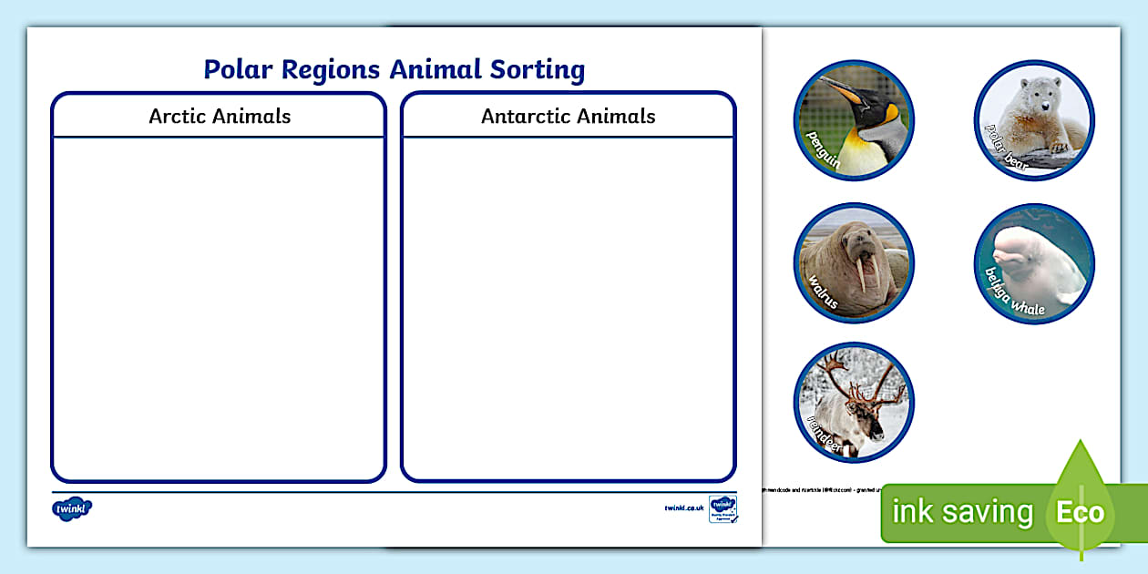 Editable Polar Regions Animal Sorting Activity - Twinkl
