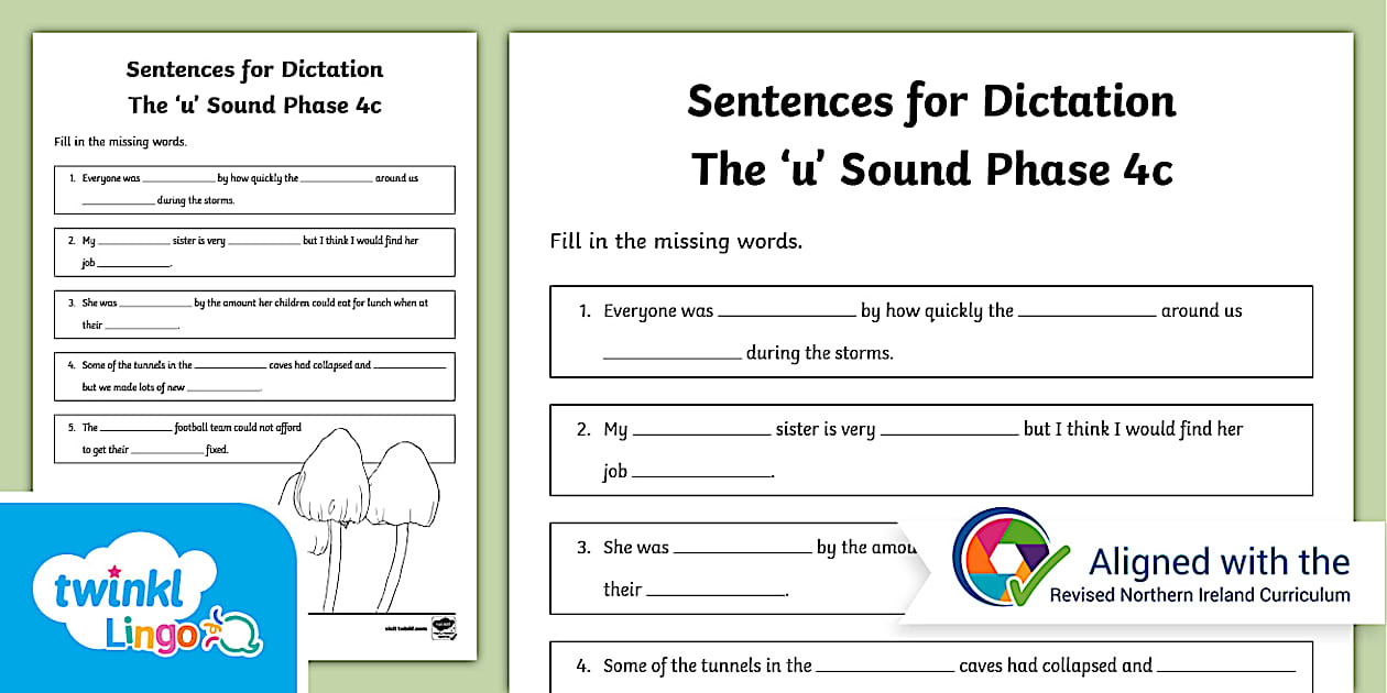 Linguistic Phonics Phase 4c 'u' Dictation Sentences Teacher Worksheet