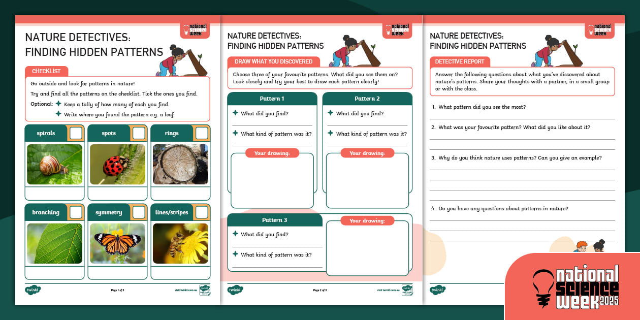 Nature Detectives: Hidden Patterns Activity (teacher made)