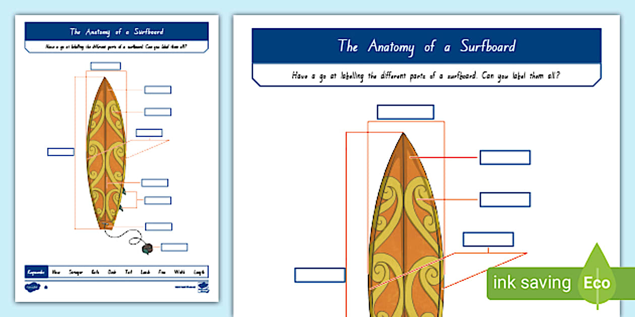 Anatomy of a Surfboard Labelling Activity - Twinkl