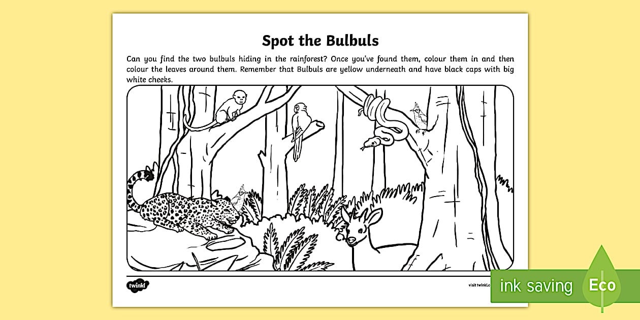 Spot the Bulbuls Colouring Page (teacher made) - Twinkl