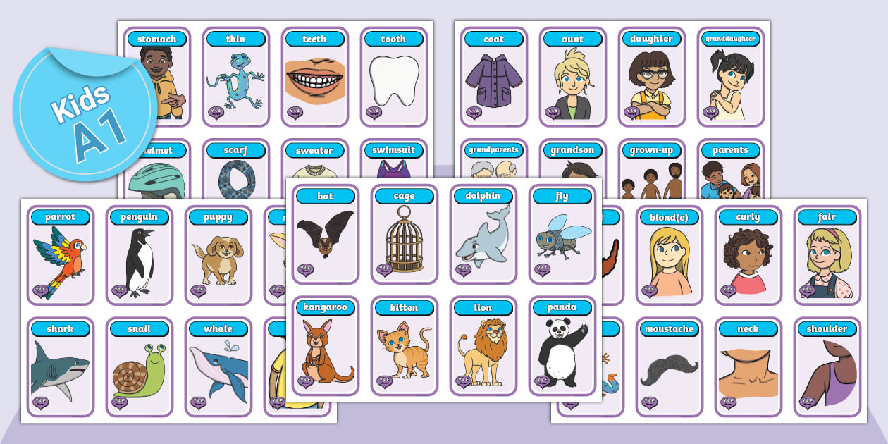 YLE Movers - Flashcards for Exams (Teacher-Made) - Twinkl