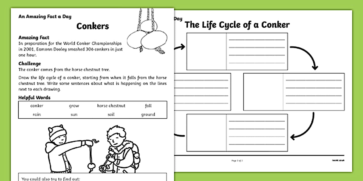 Editable Conkers! Worksheet (teacher made) - Twinkl