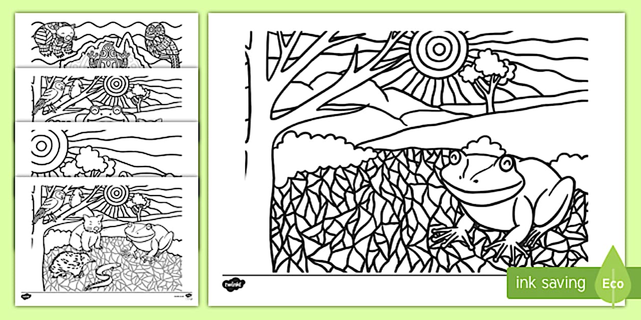 Tiddalick the Frog Colouring Pages-Australia (teacher made)
