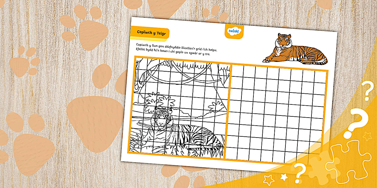 Copïo'r Teigr (teacher made) - Twinkl