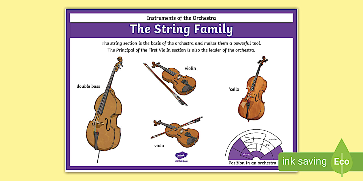 Orchestra Instruments String Family Poster (teacher made)