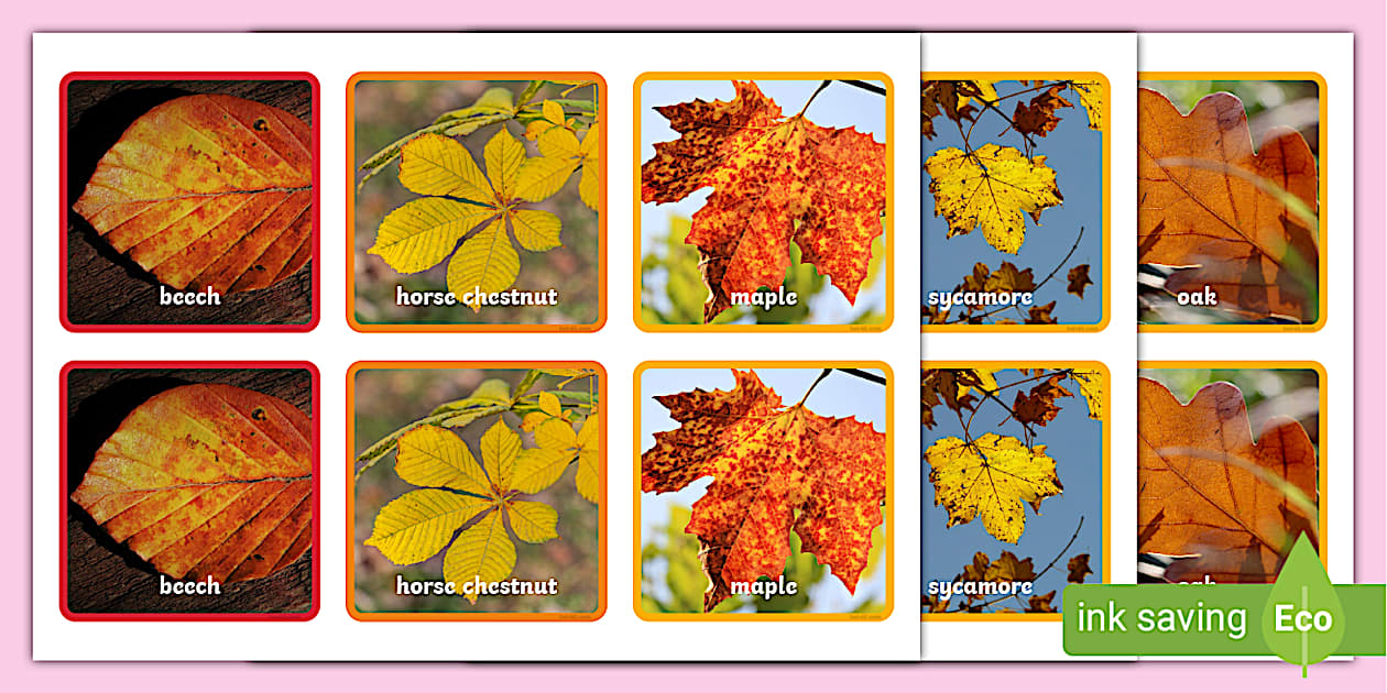 Autumn Leaves Matching Card Game (Teacher-Made) - Twinkl