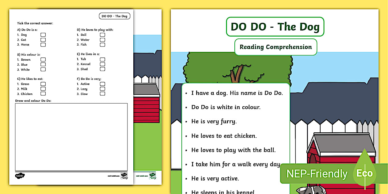 Do Do Reading Comprehension - Twinkl