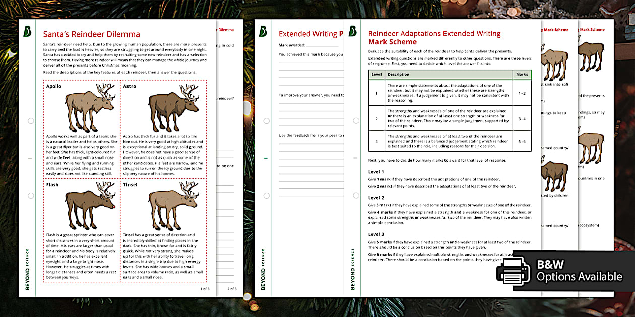 Christmas Science: Reindeer Adaptations Resource Pack