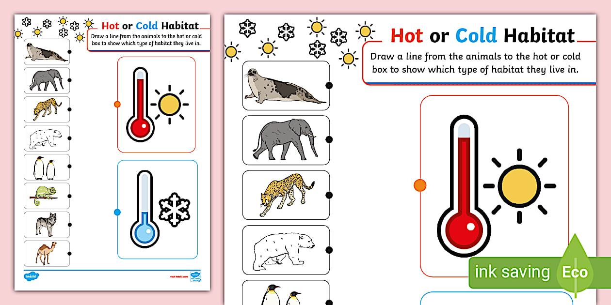 Hot or Cold Habitat Animal Matching Worksheet (teacher made)
