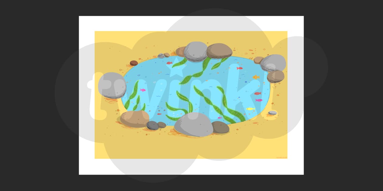 sharing a shell colouring