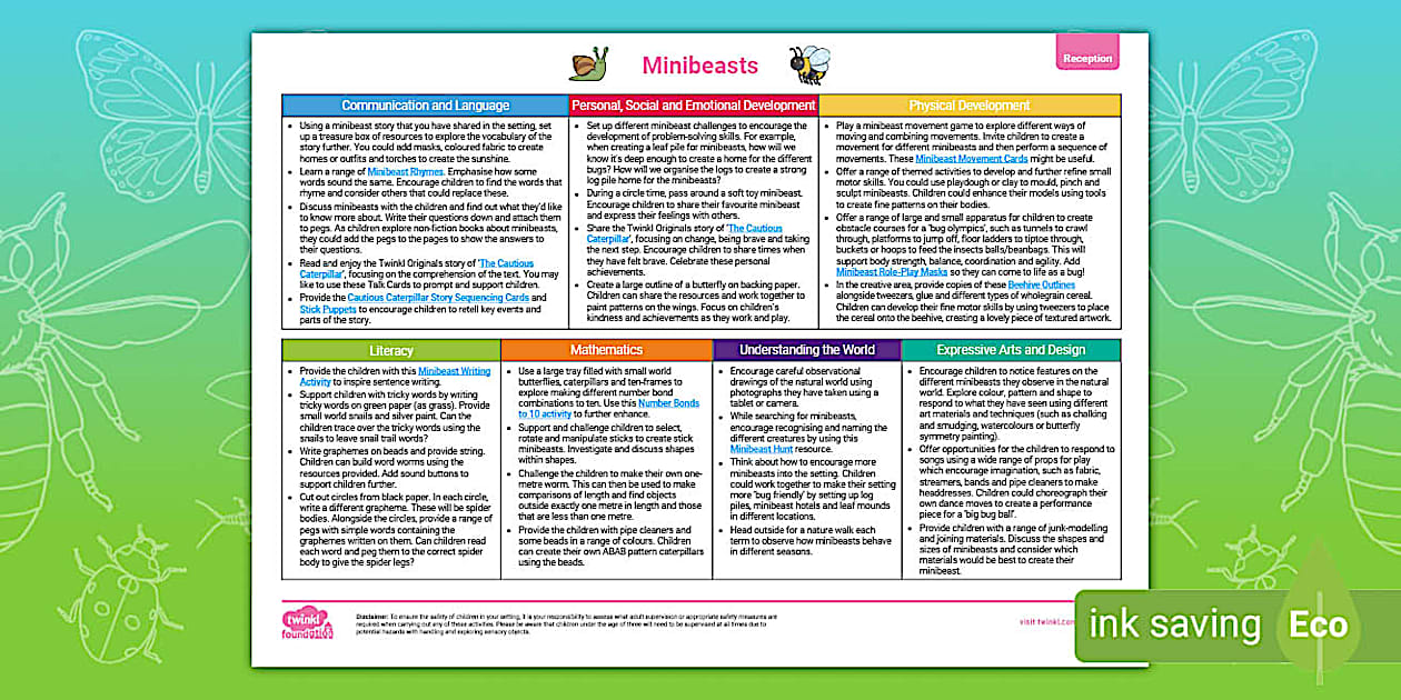 Early Years Minibeasts Topic Planning | EYFS Reception