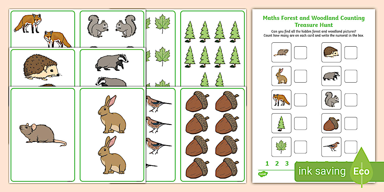Maths Forest and Woodland Counting Treasure Hunt Activity