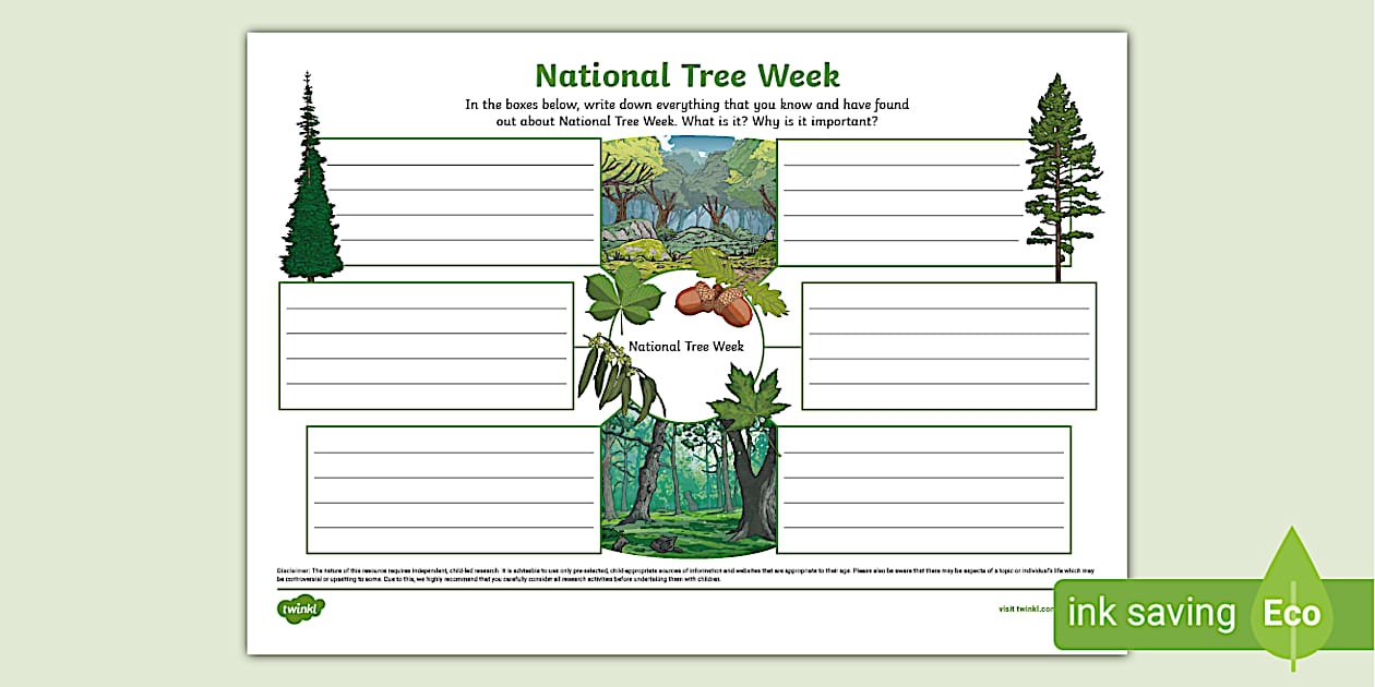 National Tree Week Mind Map (Teacher-Made) - Twinkl