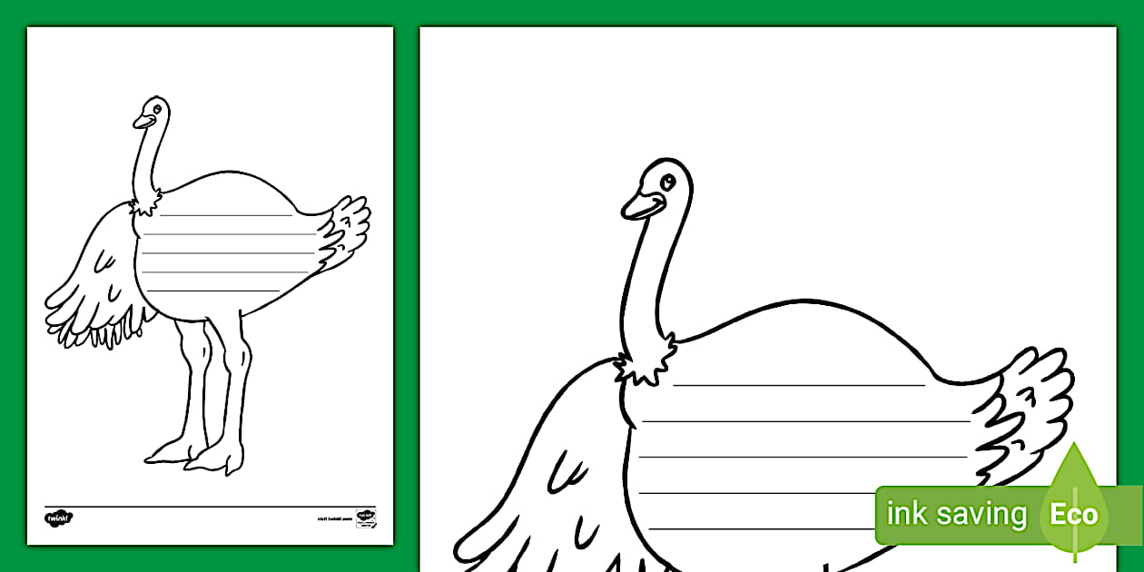 Ostrich Writing Template (l'enseignant a fait) - Twinkl
