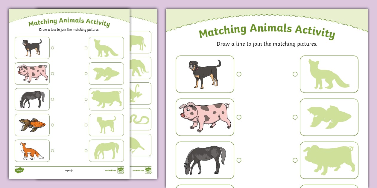 Matching Animals Activity (teacher made) - Twinkl