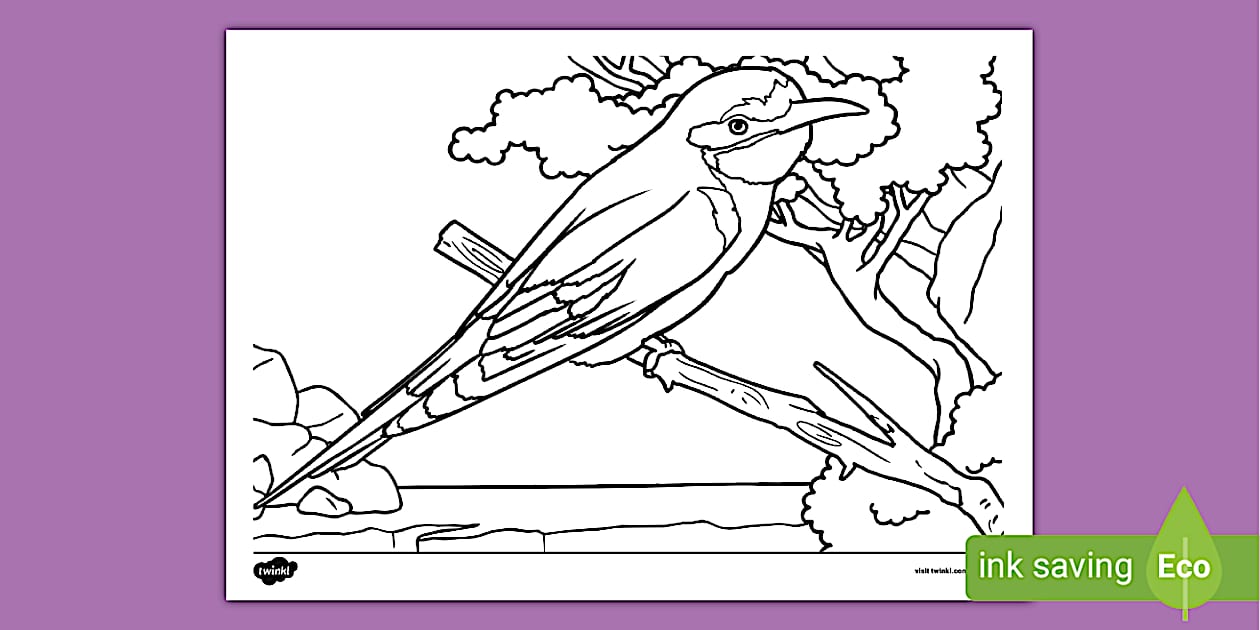 European Bee-Eater Bird Colouring Page – Twinkl Resources
