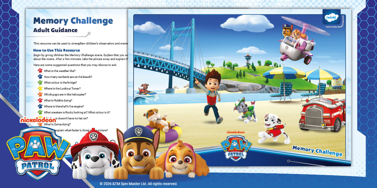 PAW Patrol: Memory Challenge Card Activity