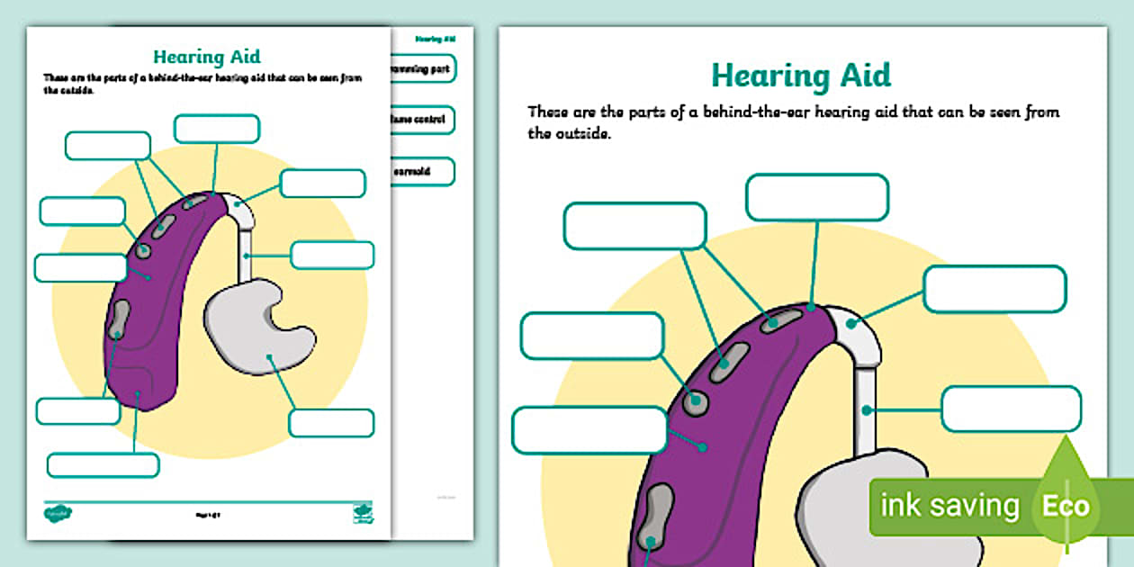 Hearing Aid Labelling Worksheet (teacher made) - Twinkl