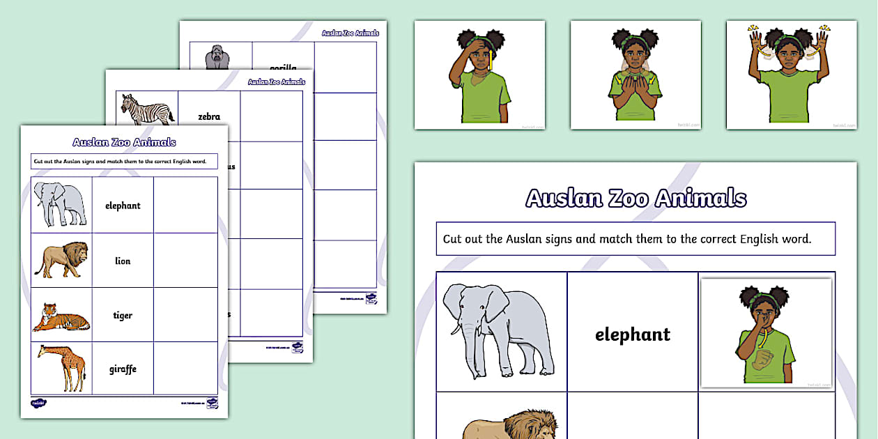 Auslan Zoo Animals Cut and Paste (teacher made) - Twinkl