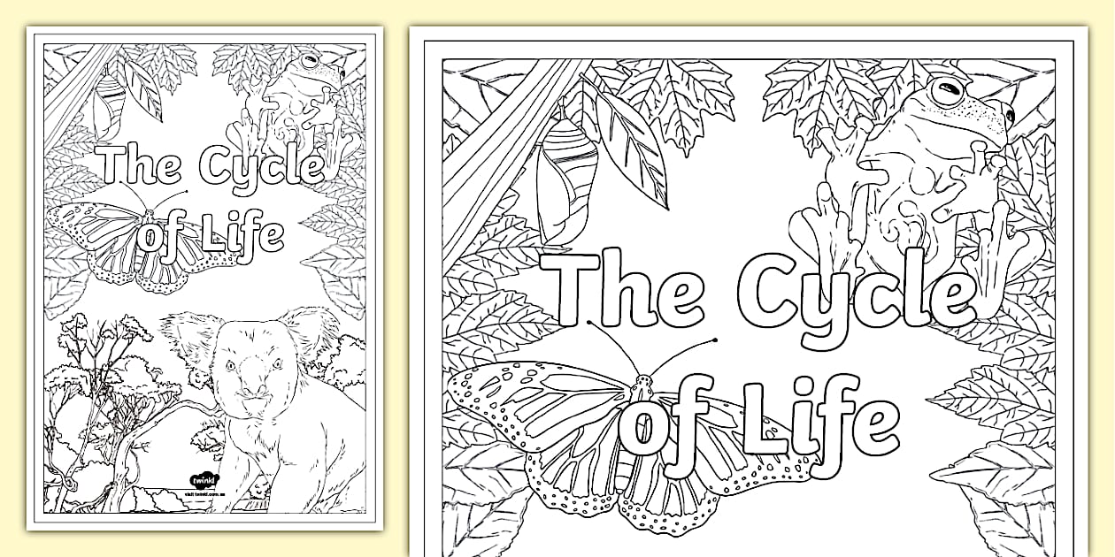 Editable The Cycle of Life Year 4 Integrated Unit Title Colouring Page