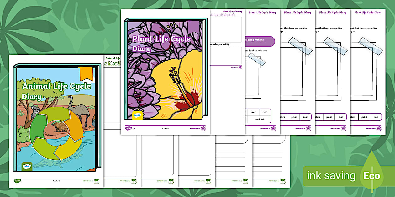 Animal and Plant Life Cycle Writing Frames - Twinkl