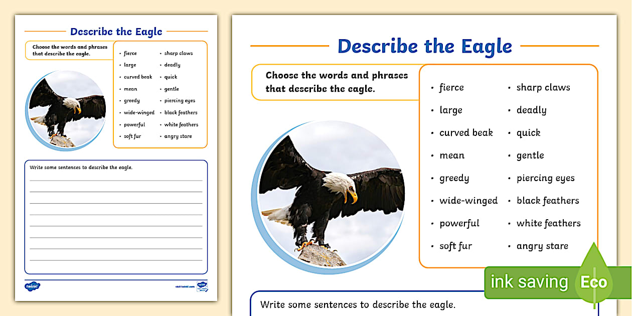 Describe the Eagle Writing Worksheet - Twinkl