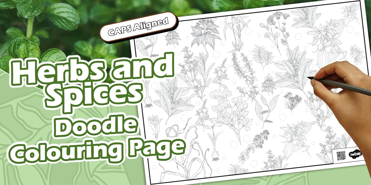 Intermediate Phase Life Skills - Herbs and Spices - Doodle Colouring Page