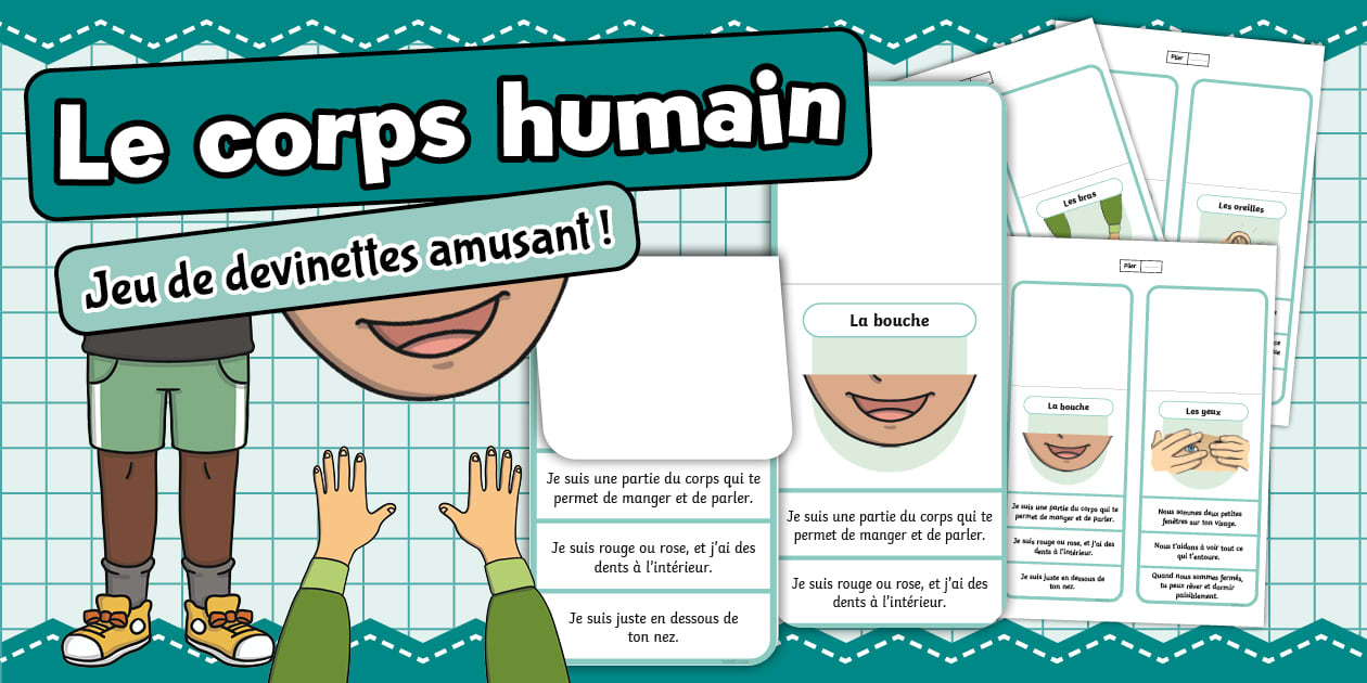 Qui suis-je ? : Le corps humain - Twinkl