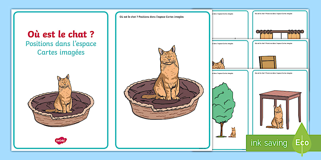 Cartes imagées pour se répérer dans l'espace : Où est le chat
