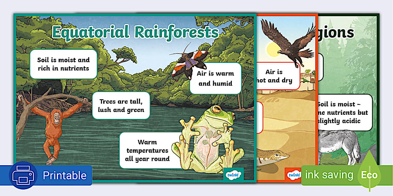 World Climates | Climate Regions Posters | Printable