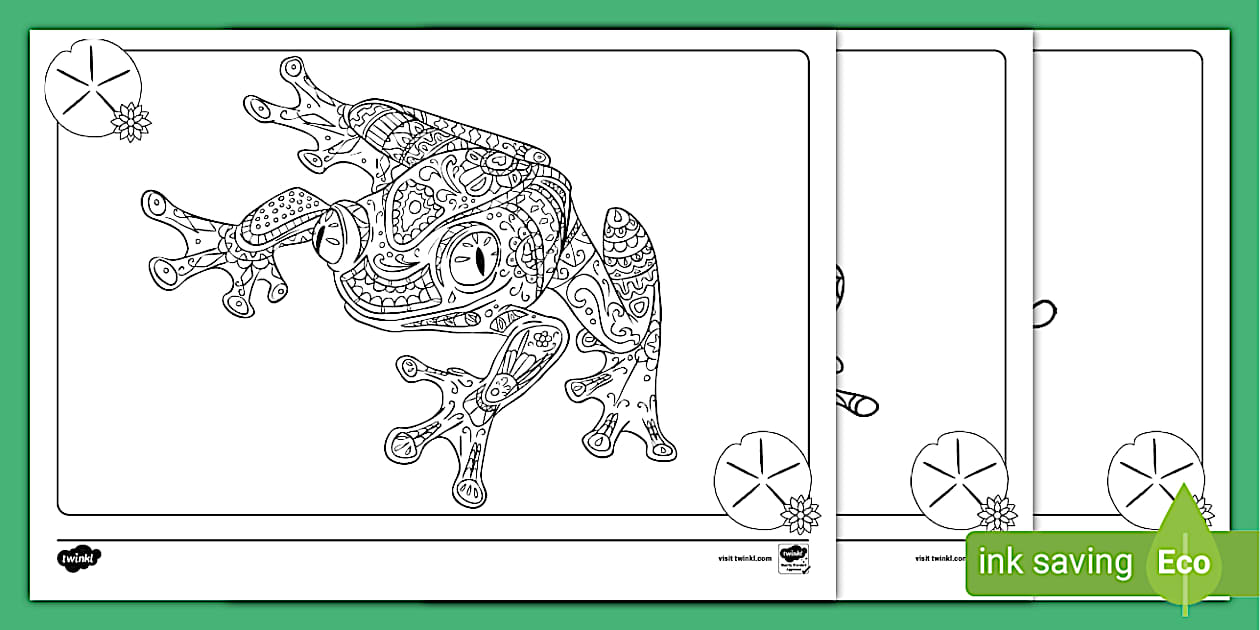 Frog Mindfulness Colouring Pages | Mindfulness | Colouring