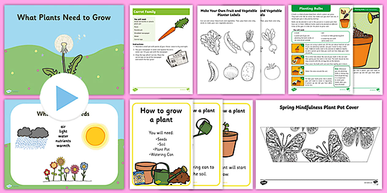 Growing Plants for the Home - Home Learning Resources